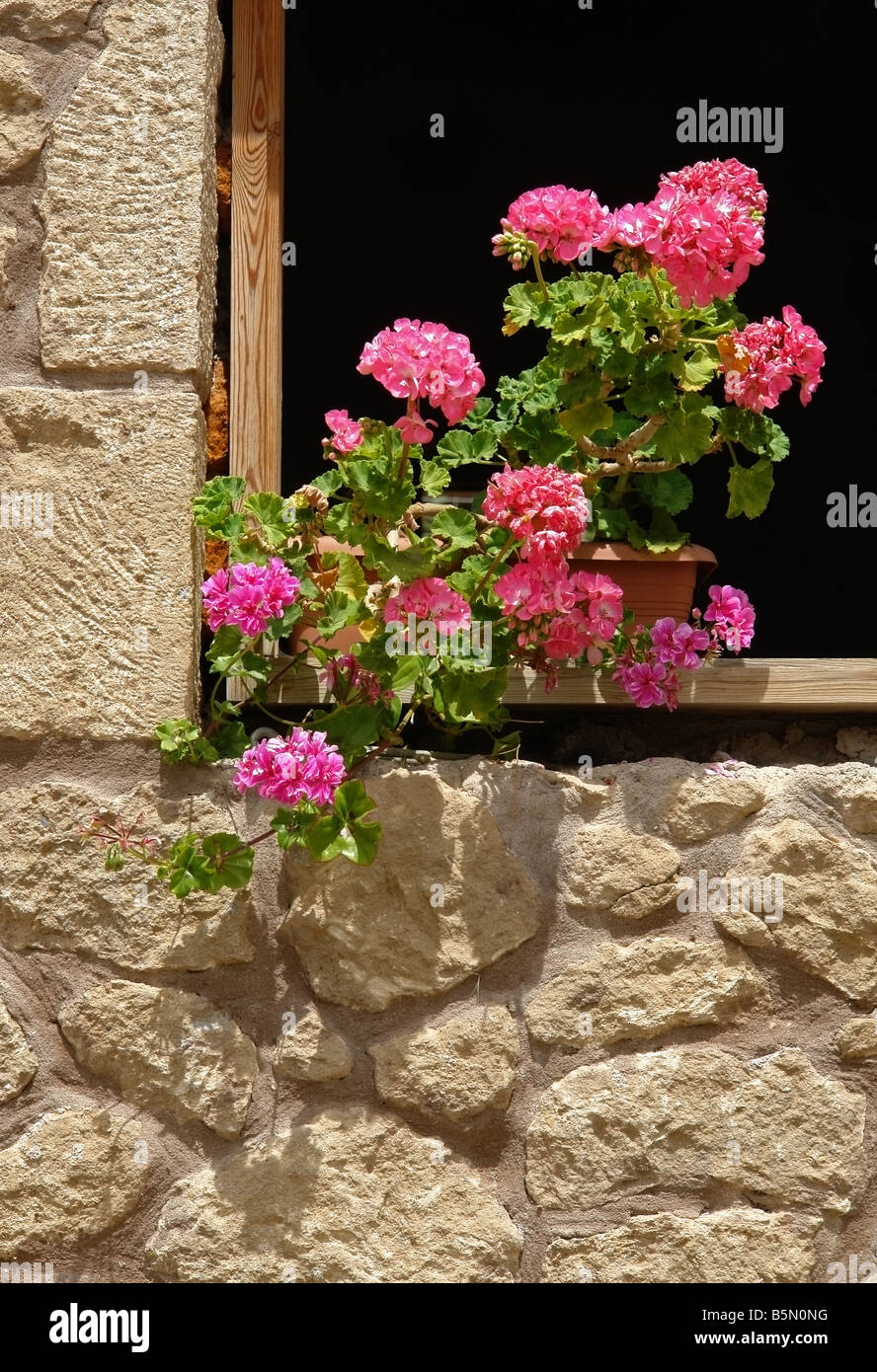 a flower pot above a window Stock Photo - Alamy