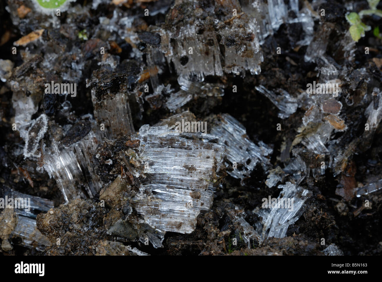 Breaking the soil hi-res stock photography and images - Alamy