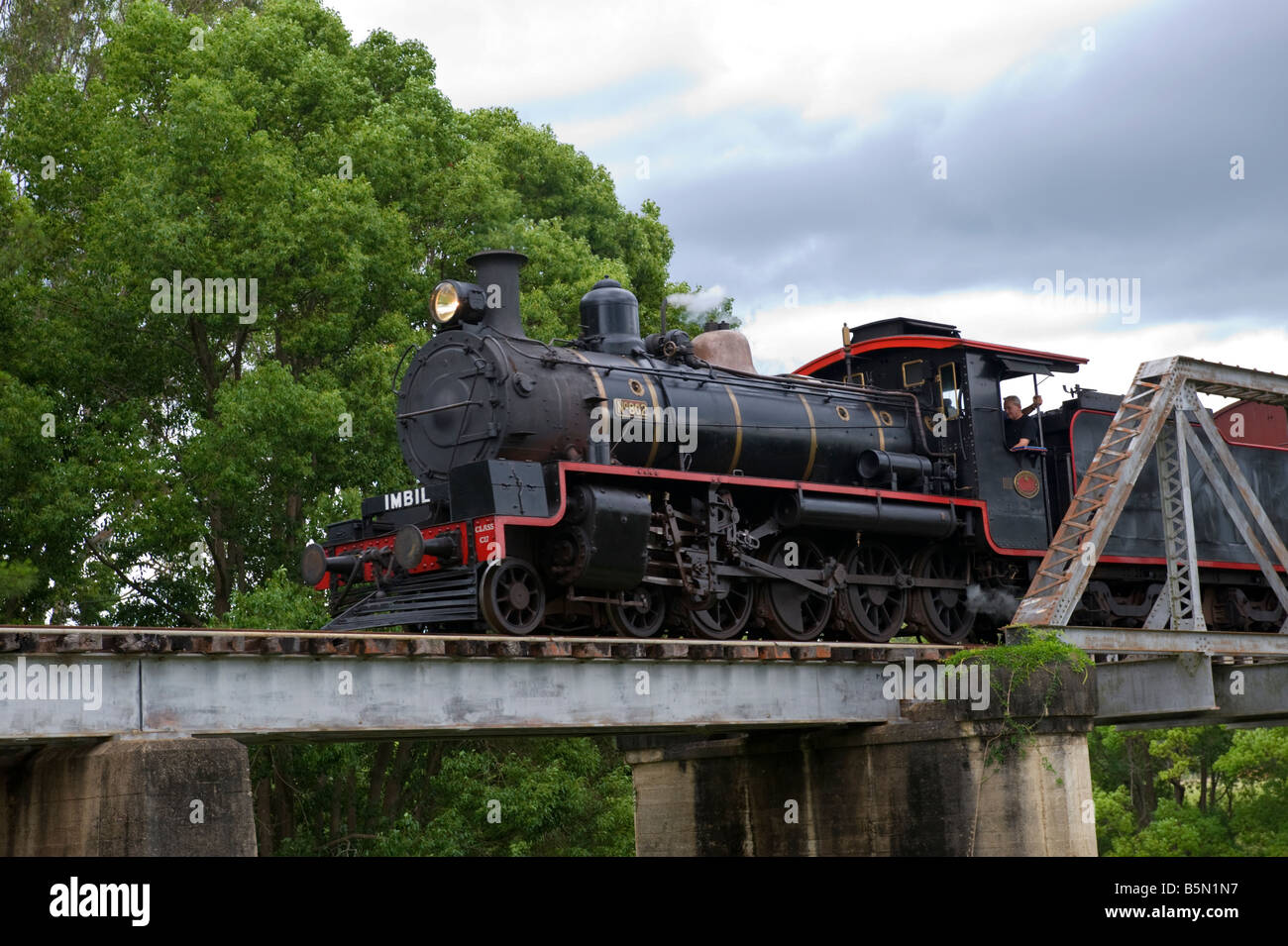 Mary Valley Rattler Stock Photo - Alamy