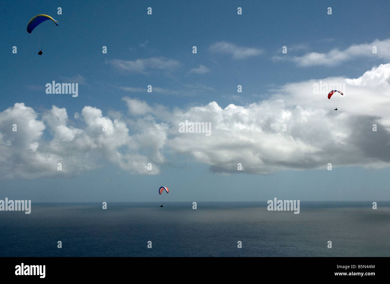 Paragliding Makapuu Point Oahu Hawaii USA Stock Photo - Alamy