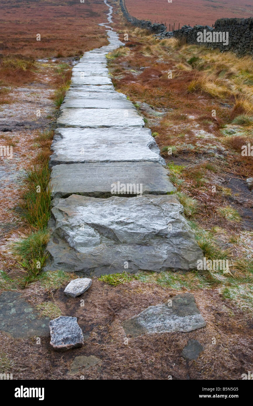 A Frost covered Footpath in the Goyt Valley in the Peak District ...