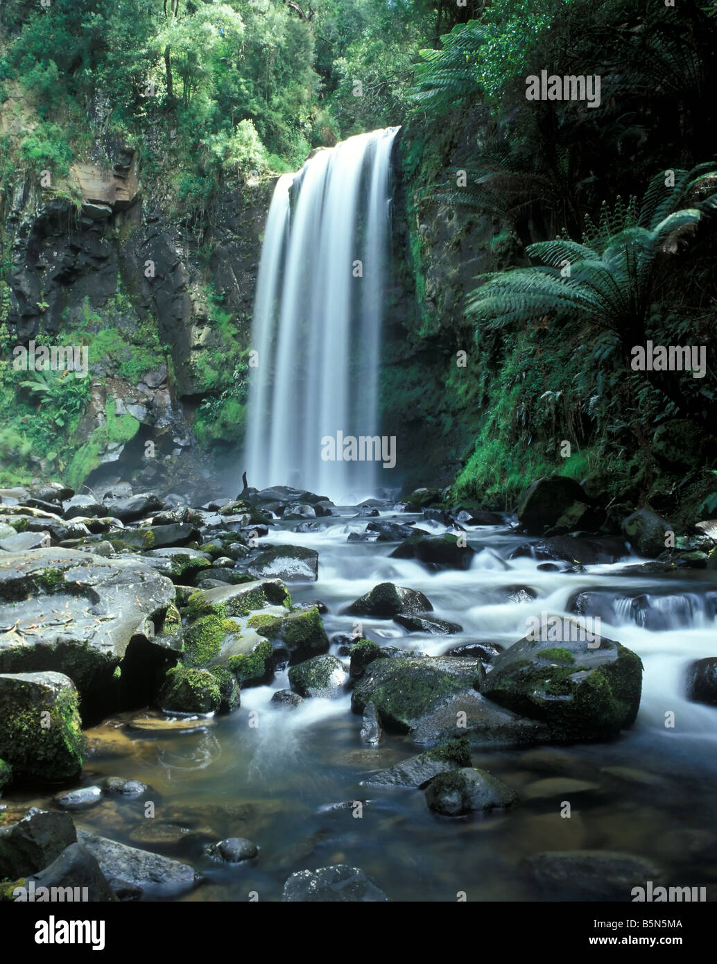 Hopetoun falls in otway national park hi-res stock photography and ...