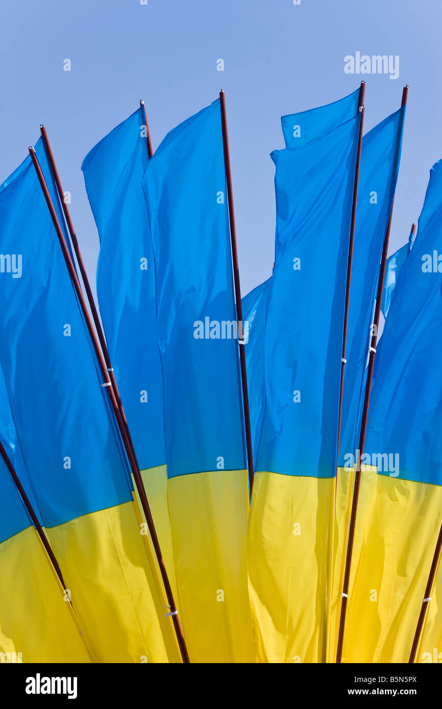 Independence day, Ukrainian national flags flying in Maidan ...