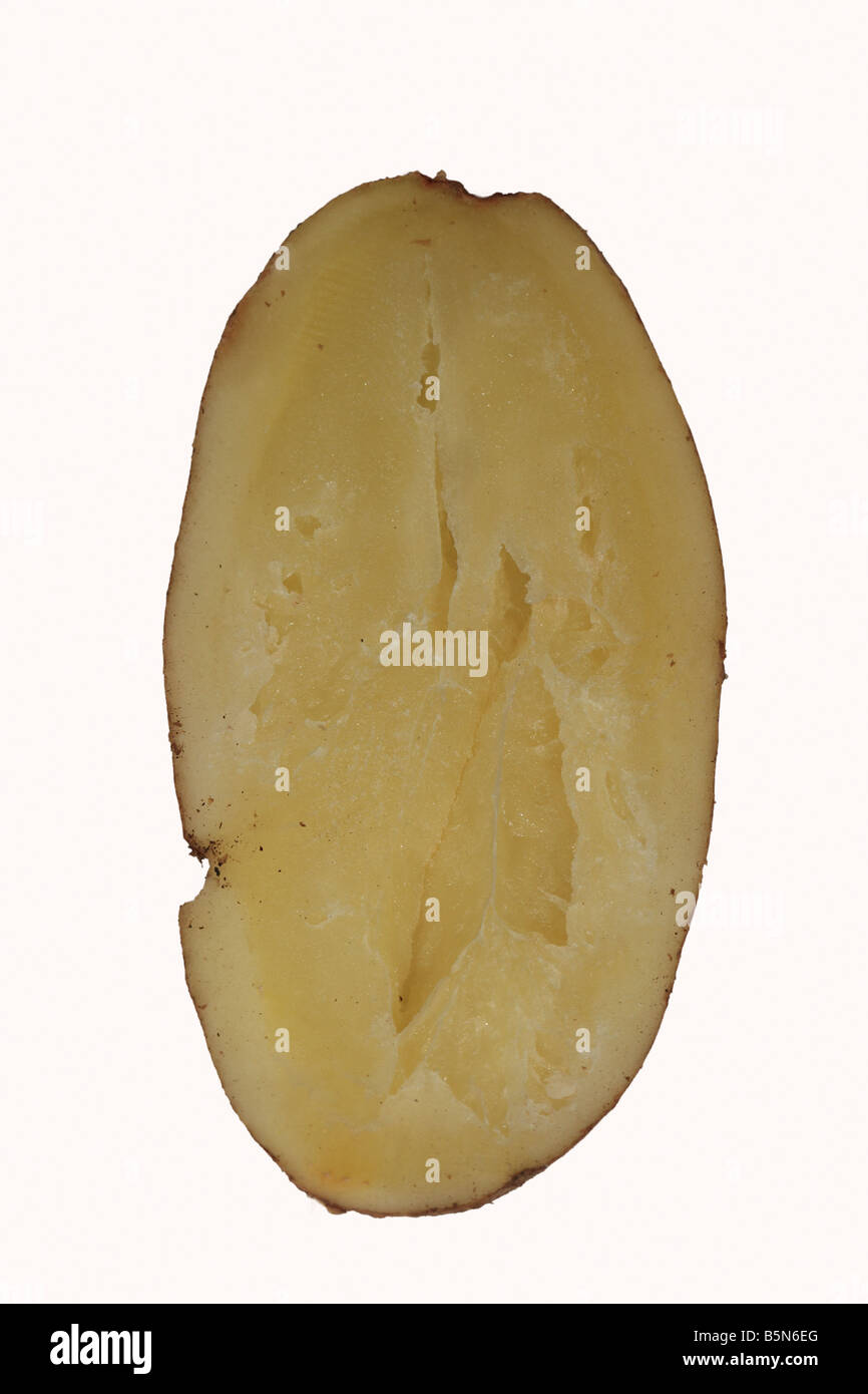 Sectioned hi-res stock photography and images - Alamy