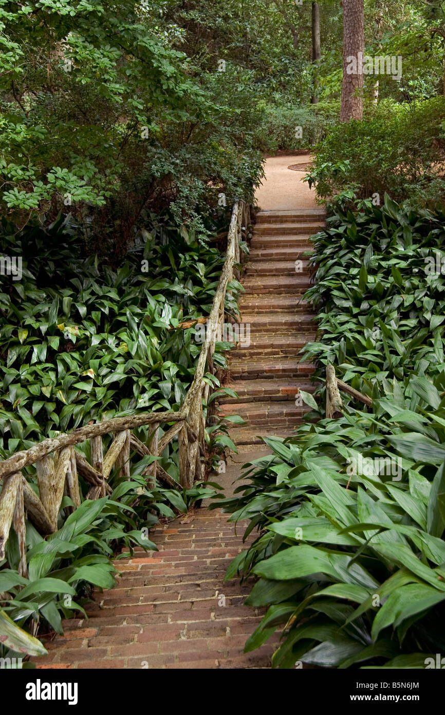 A brick pathway going into the forest Stock Photo - Alamy