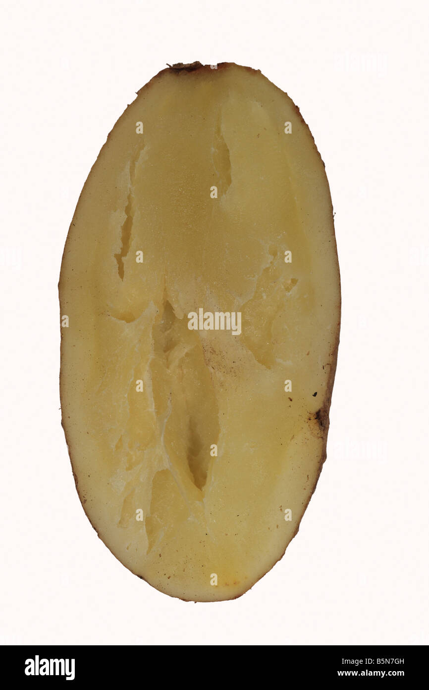 Sectioned hi-res stock photography and images - Alamy