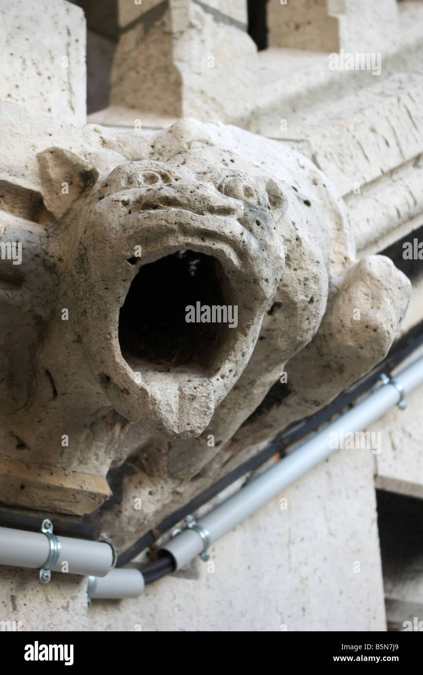 Drain pipe with gargoyle hi-res stock photography and images - Alamy