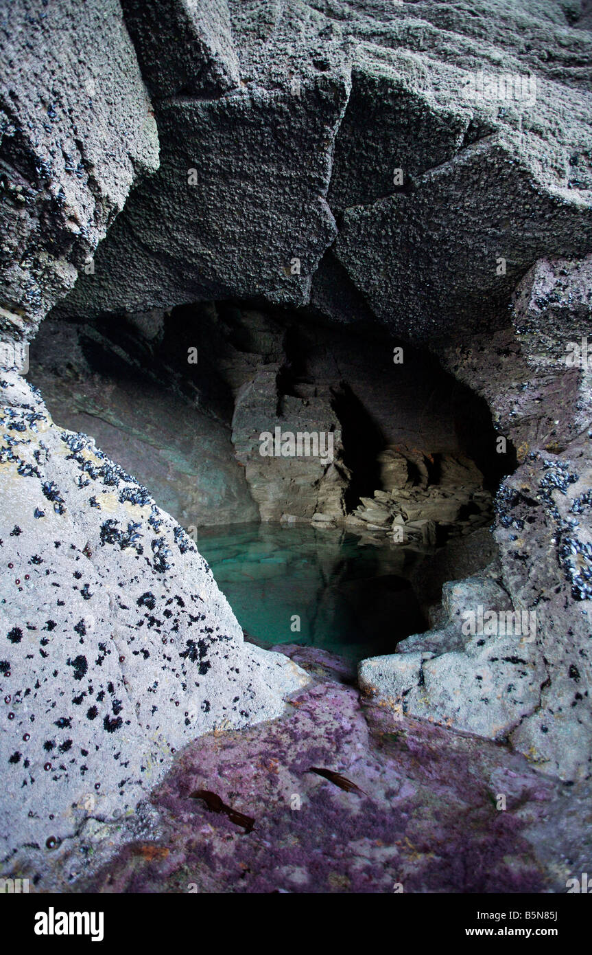 Rock pool in a small cavern in the cliffs at Whipsiderry beach near ...