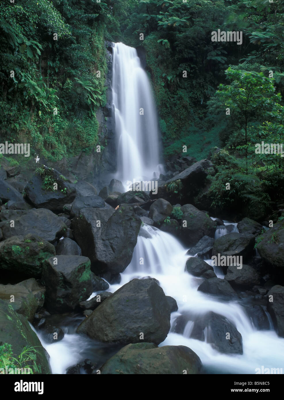 Famous Trafalgar falls in jungle Dominica island Stock Photo - Alamy