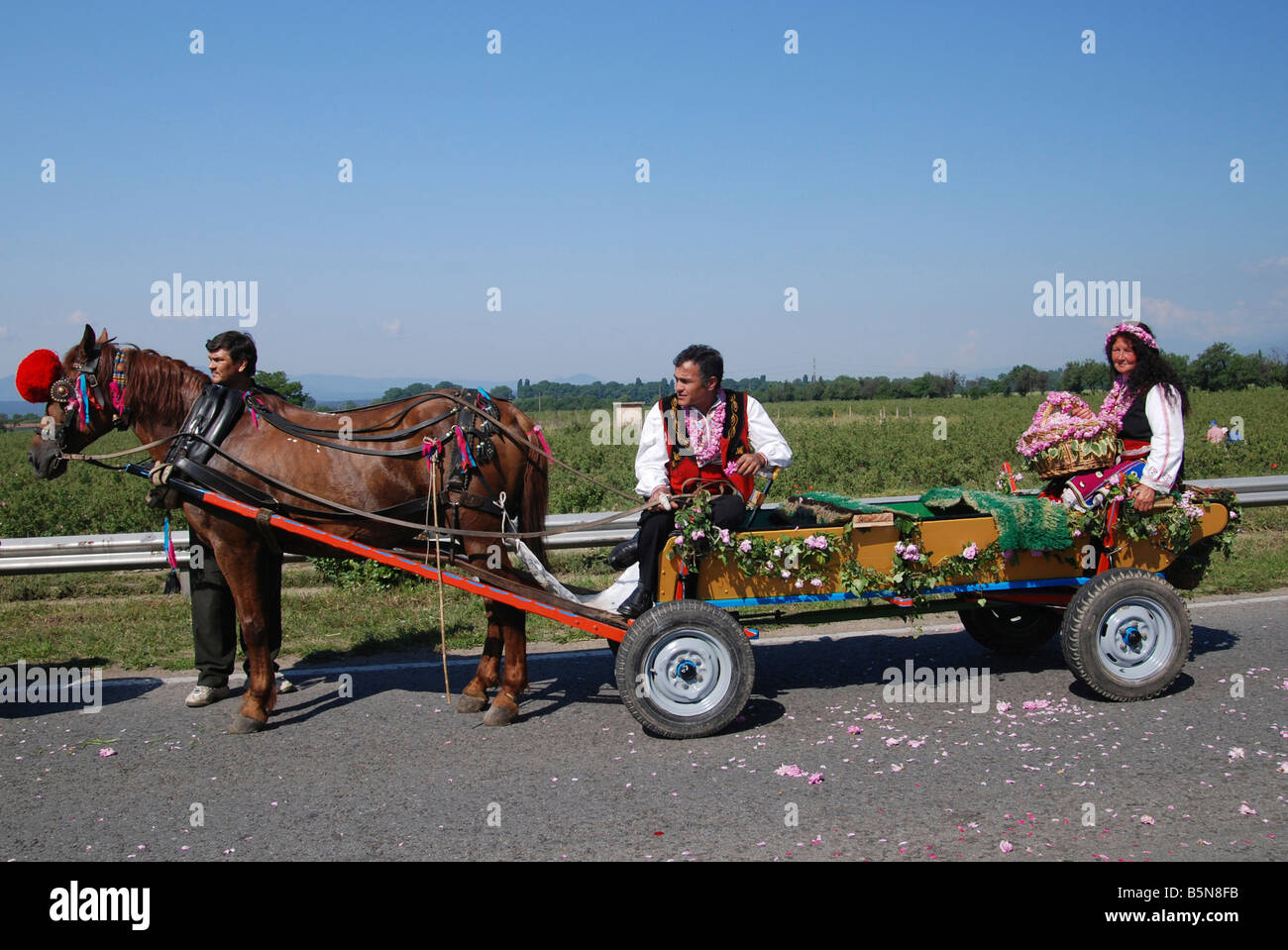 Gipsy horse cart with traditional regional costumes for the Rose ...