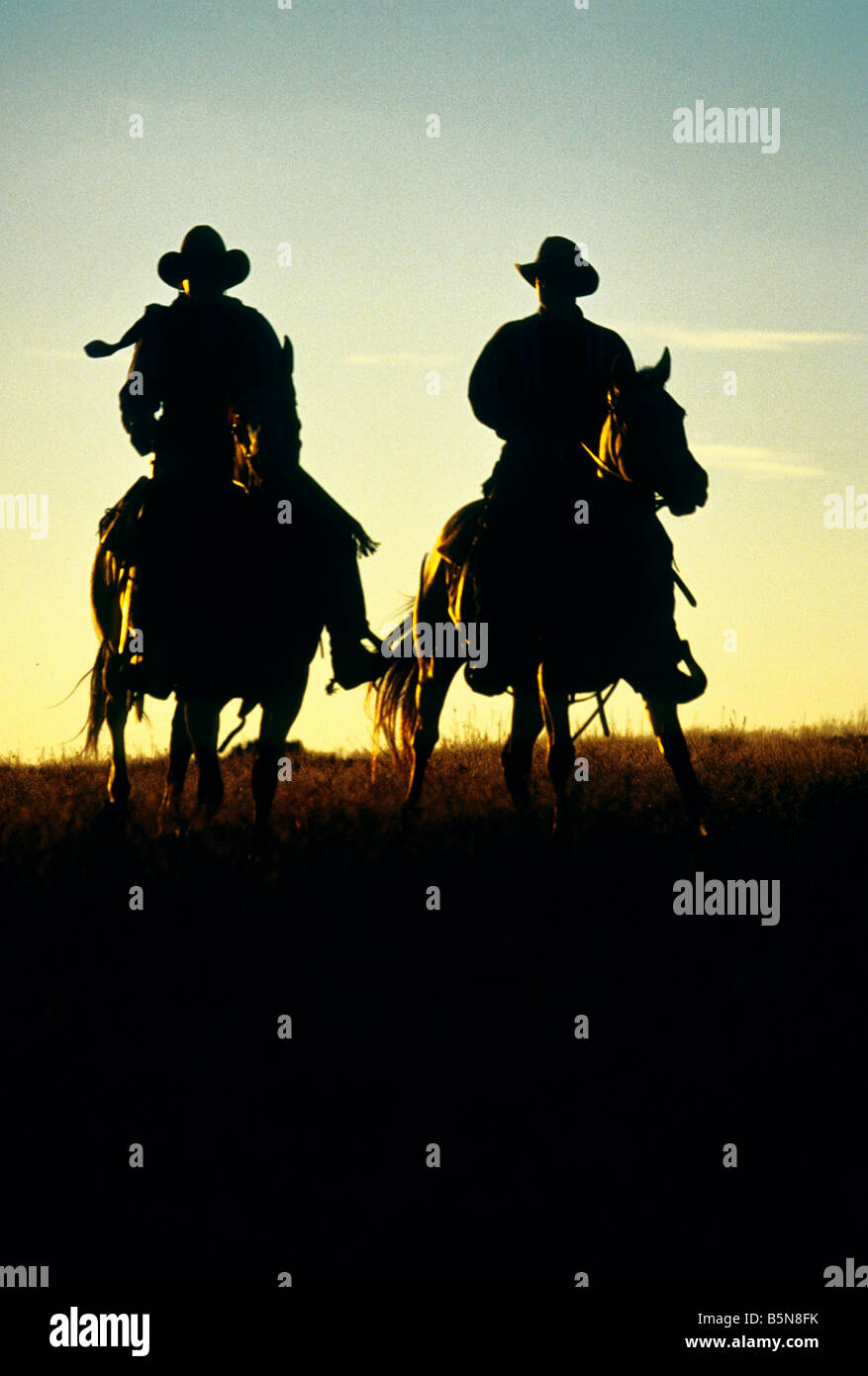 Vaquero hi-res stock photography and images - Alamy