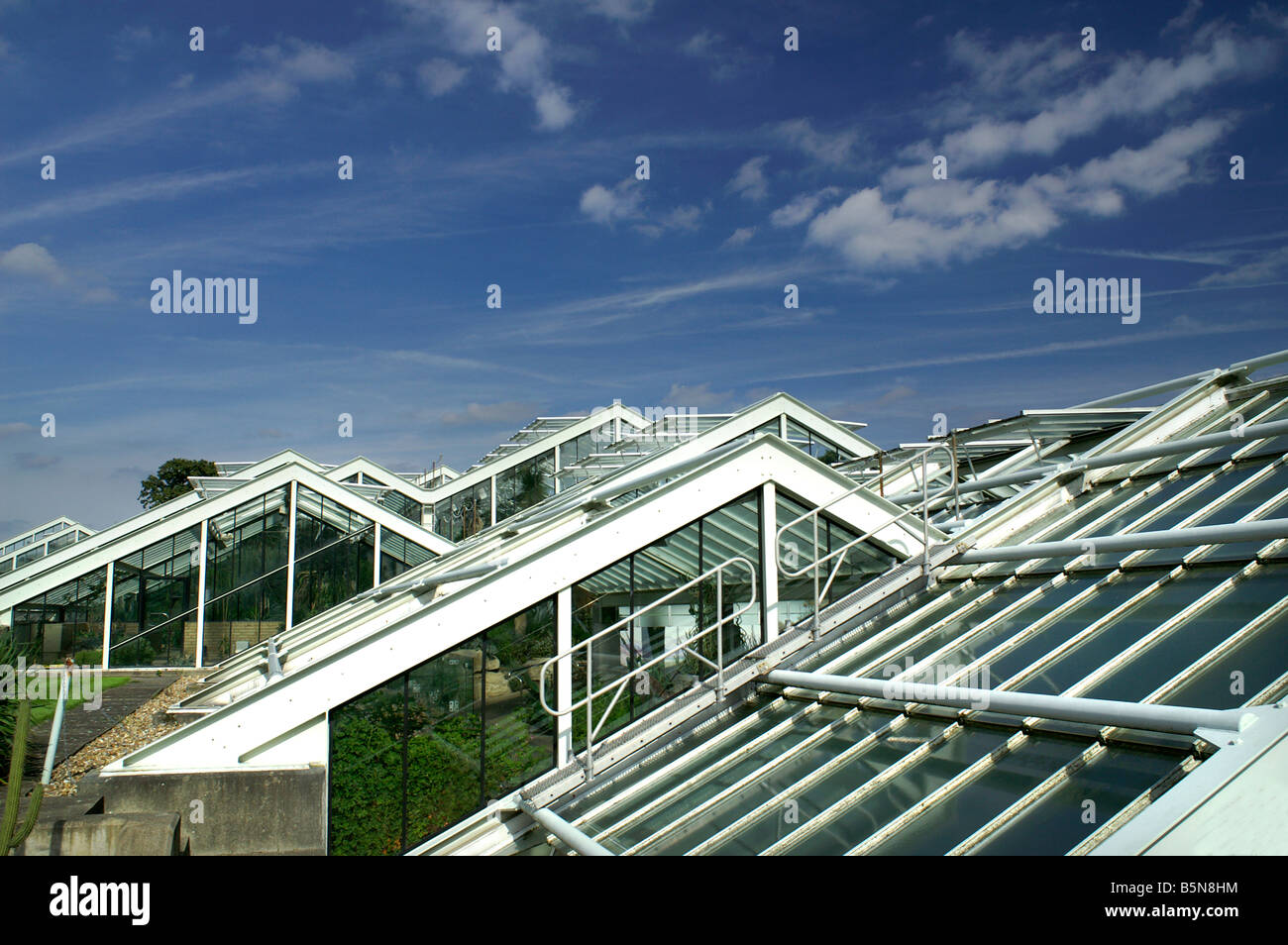 Glasshouses hi-res stock photography and images - Alamy