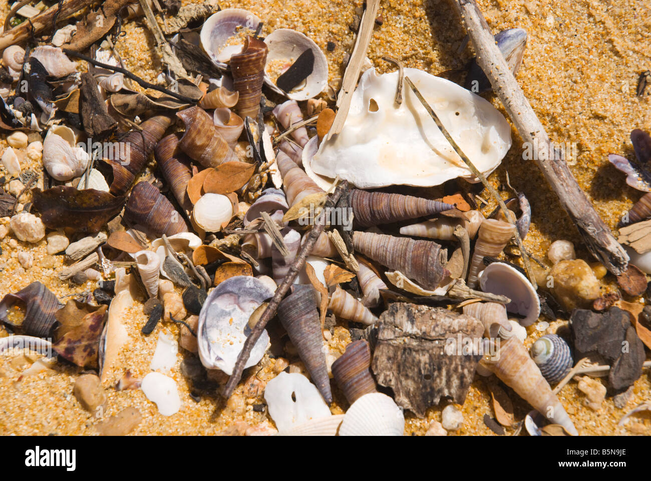 Disused marine houses hi-res stock photography and images - Alamy
