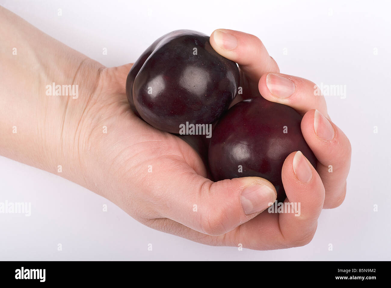 A hand squeezing plums Stock Photo - Alamy