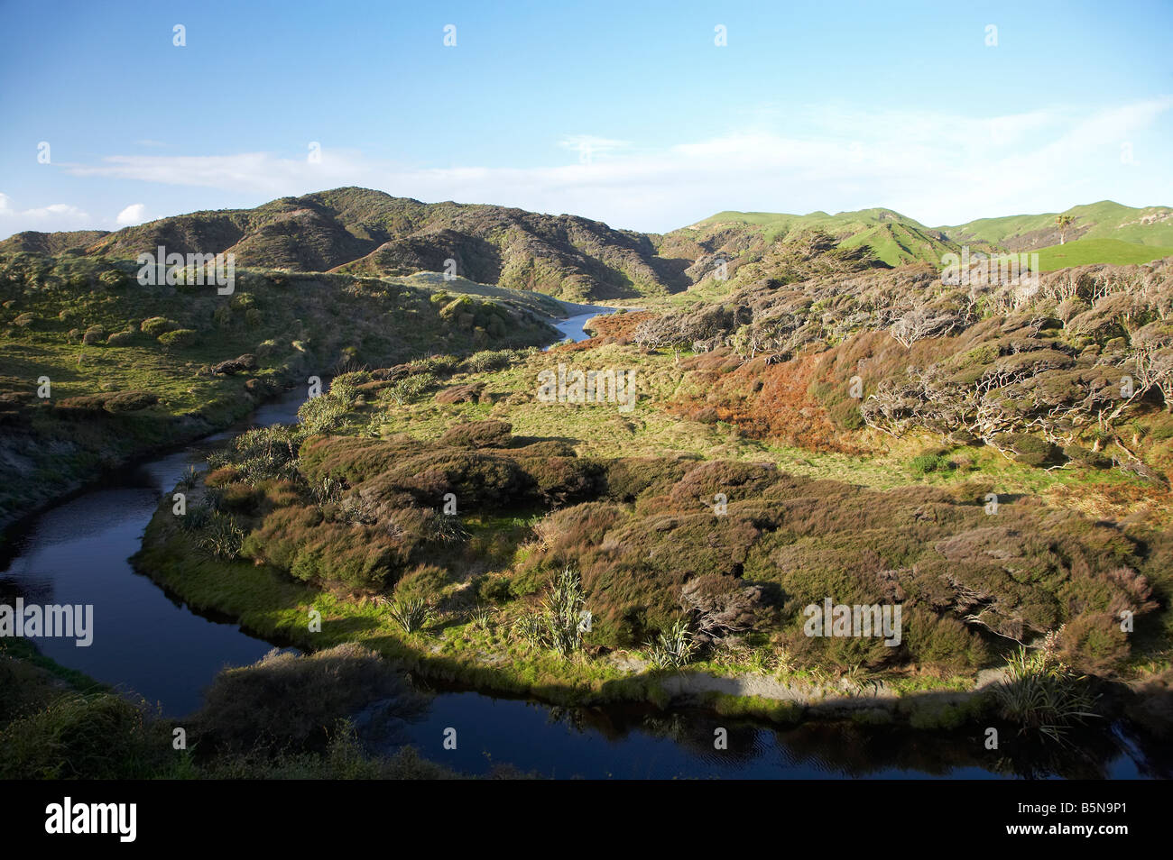 Lagoon behind Wharariki Beach and Windblown Manuka near Cape Farewell ...