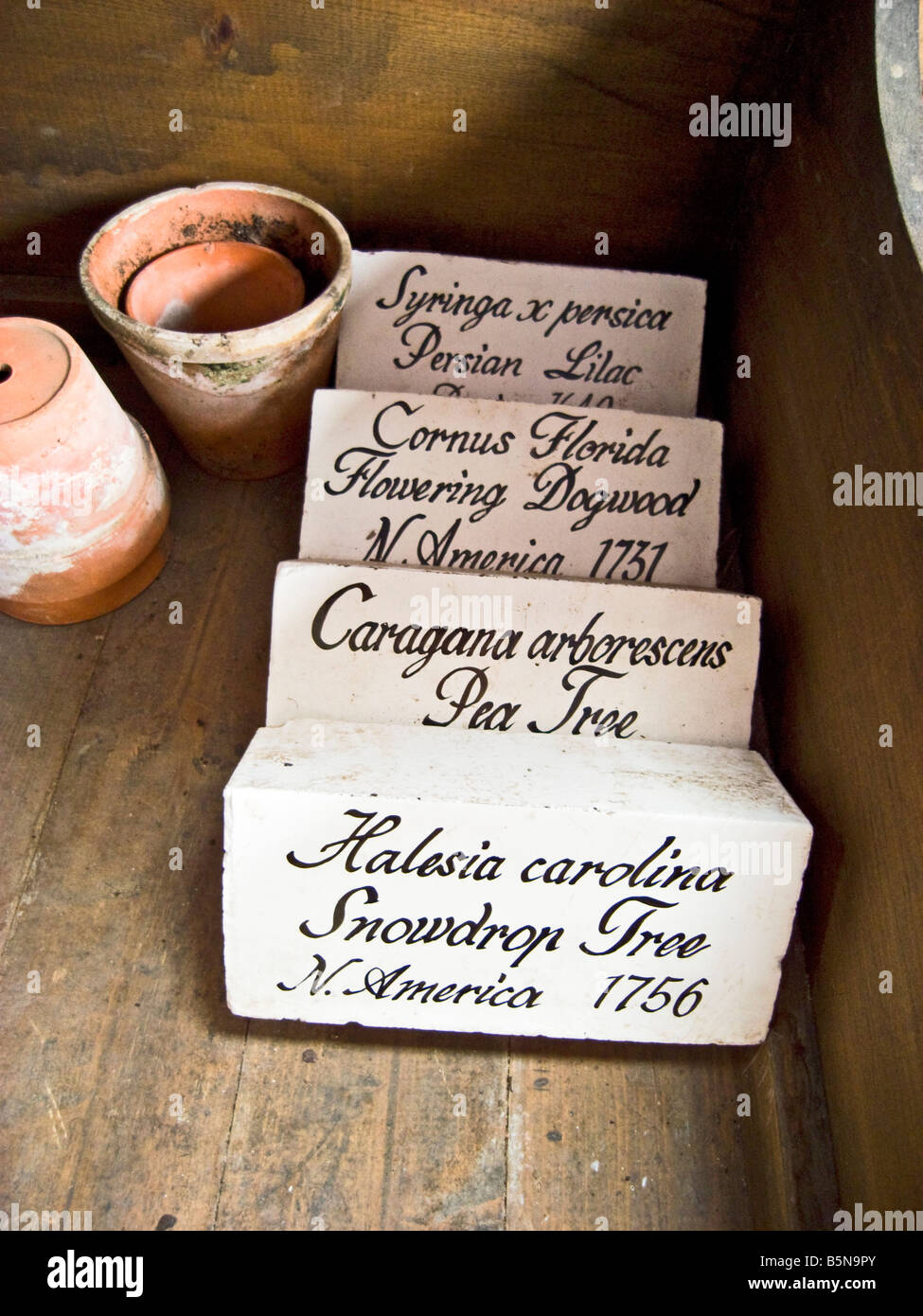 Plant labels latin hi-res stock photography and images - Alamy