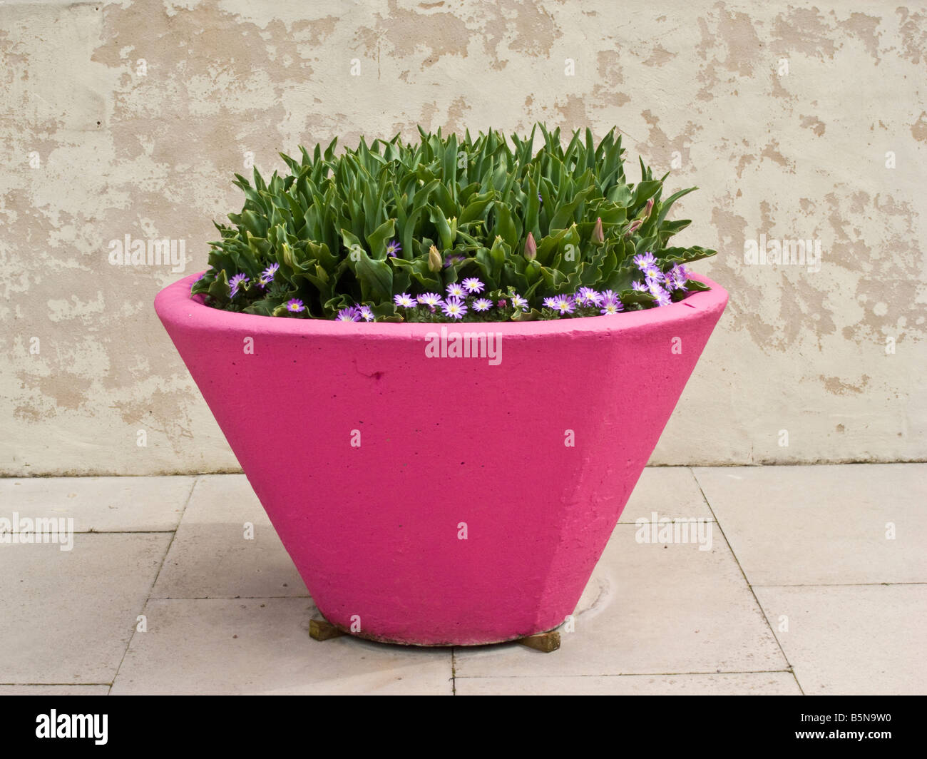 Unusual planter hi-res stock photography and images - Alamy