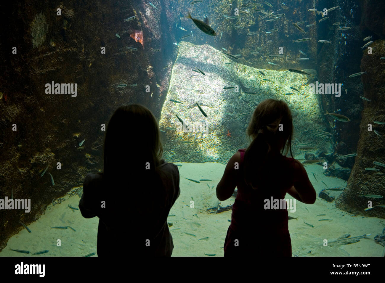 French Aquarium High Resolution Stock Photography and Images - Alamy
