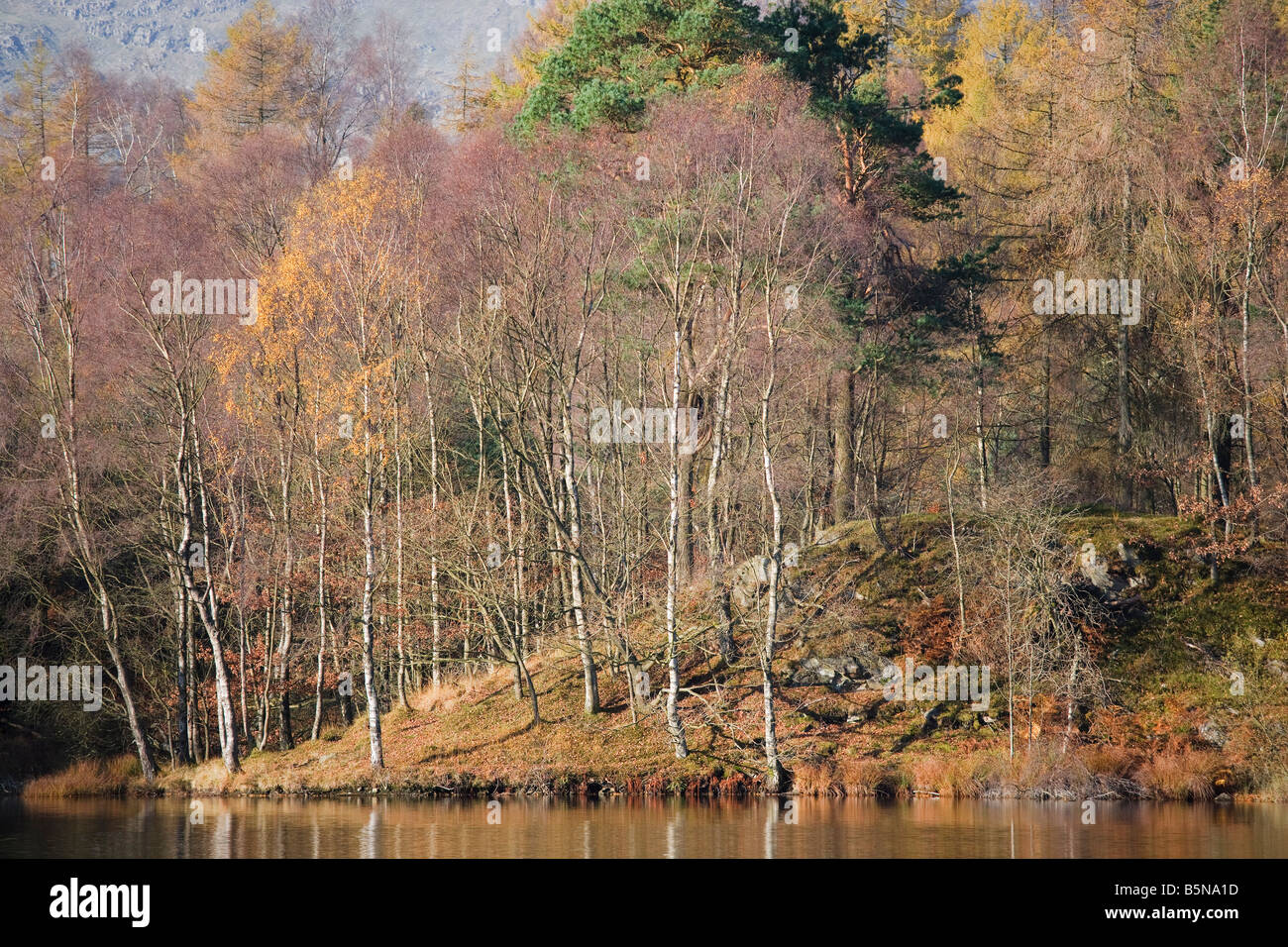 Tarn hows circular walk hi-res stock photography and images - Alamy