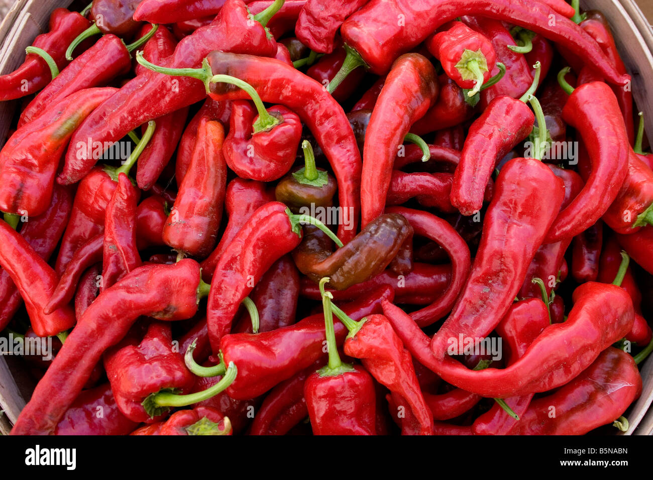 New Mexico Chili Peppers High Resolution Stock Photography and Images ...
