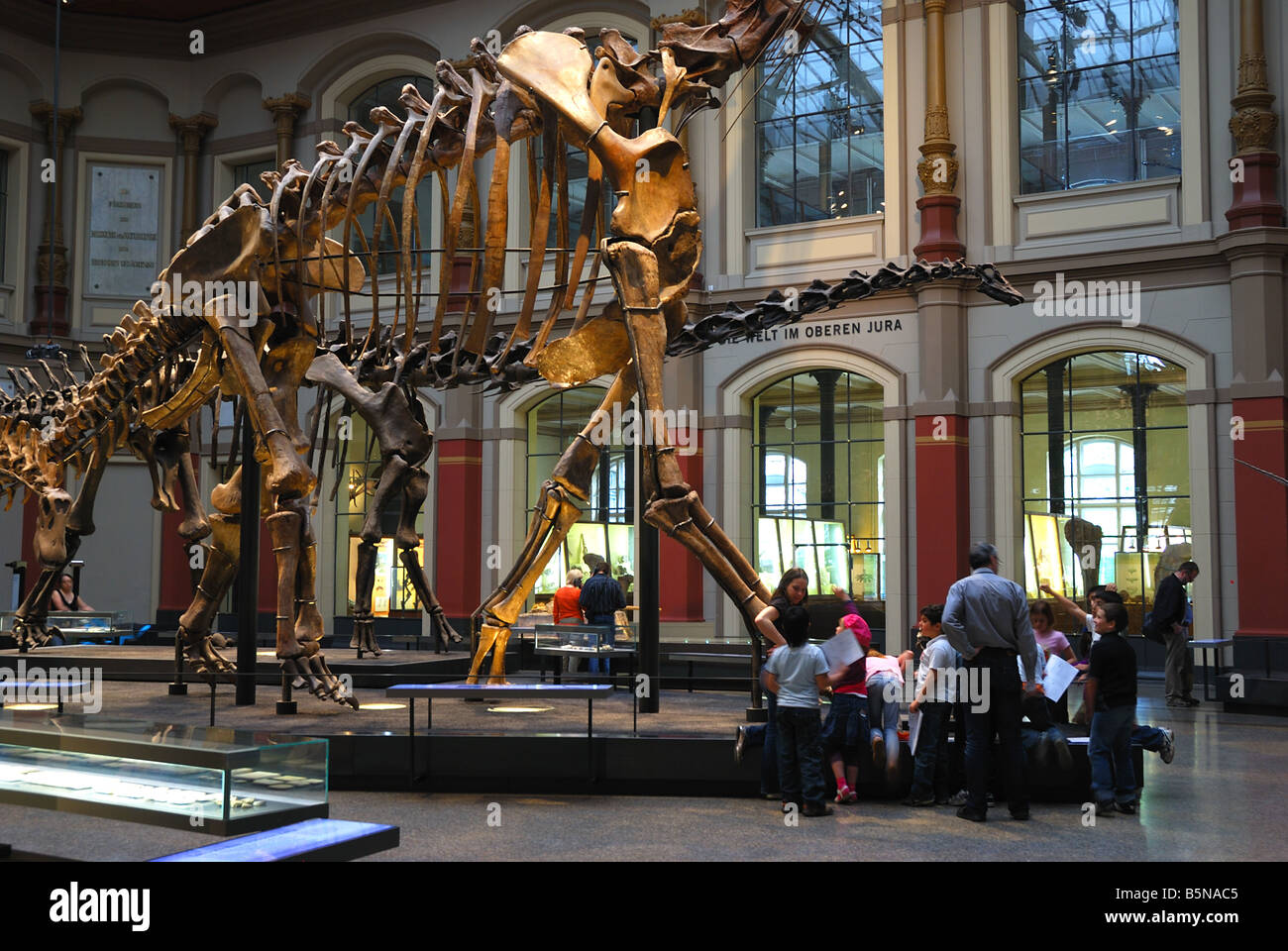 Group of children in the main hall of the Natural Sciences Museum from ...