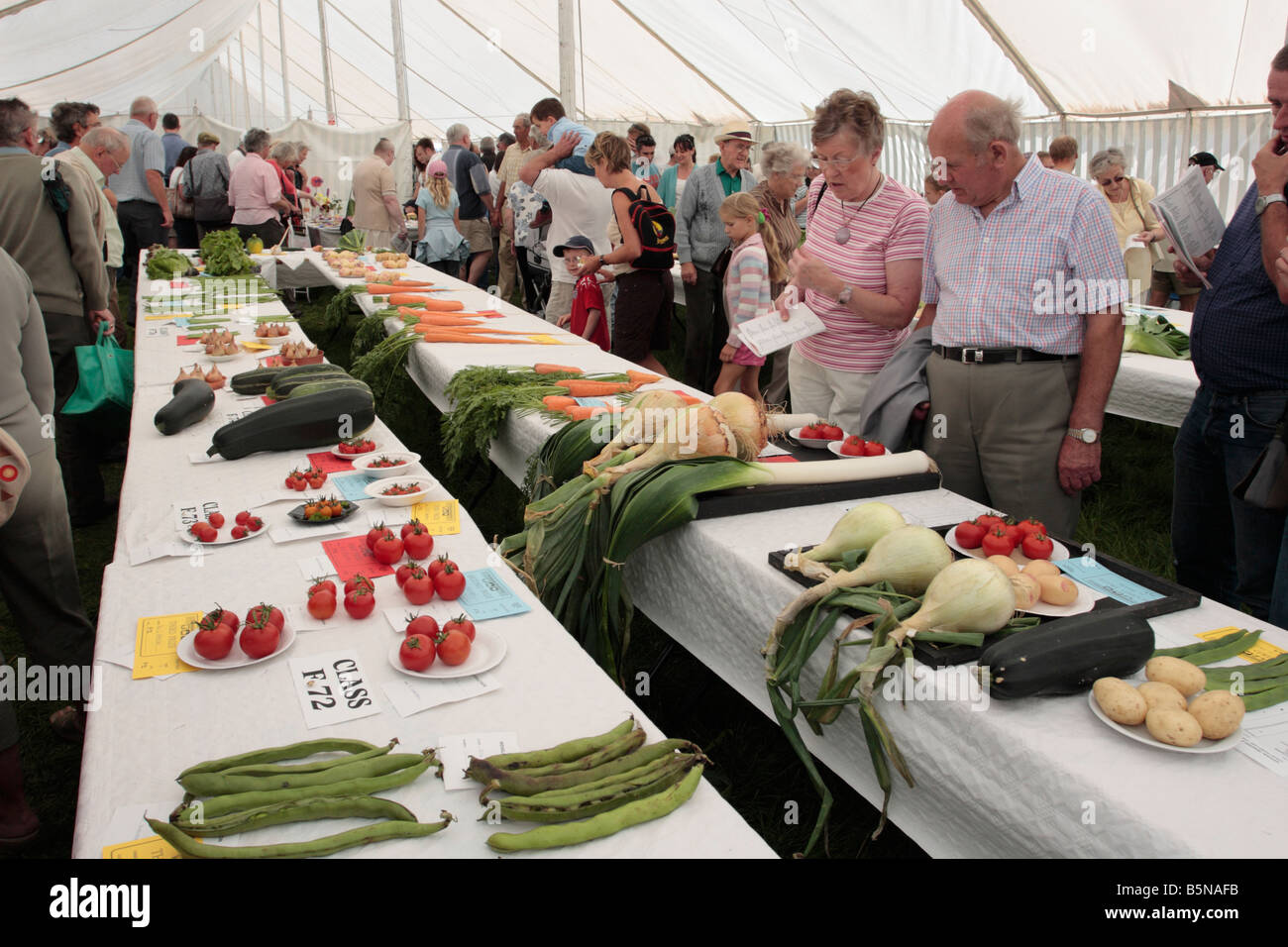 Prize winning vegetables at the Wensleydale show in Yorkshire, England ...