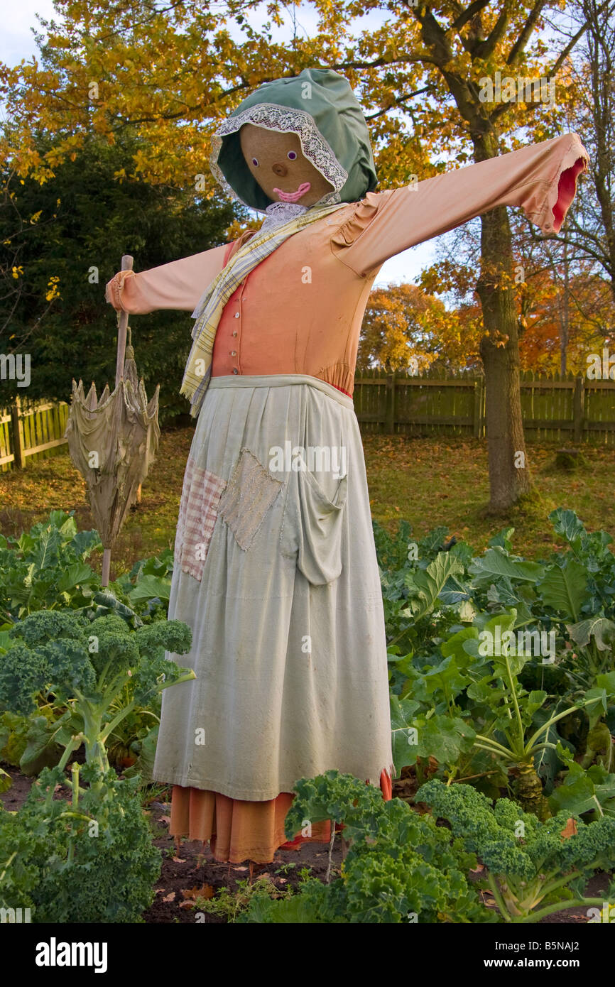 Female scarecrow hi-res stock photography and images - Alamy