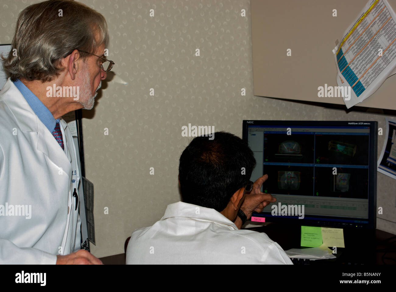 Doctor and technician discussing CT scan on computer LCD screen of ...