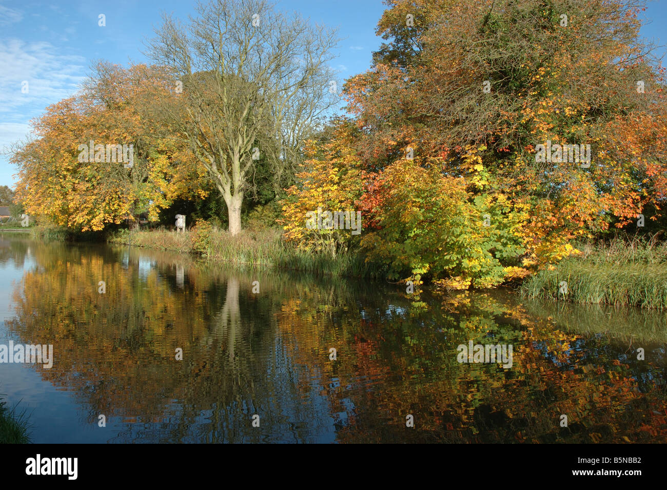 Ashby canal hi-res stock photography and images - Alamy
