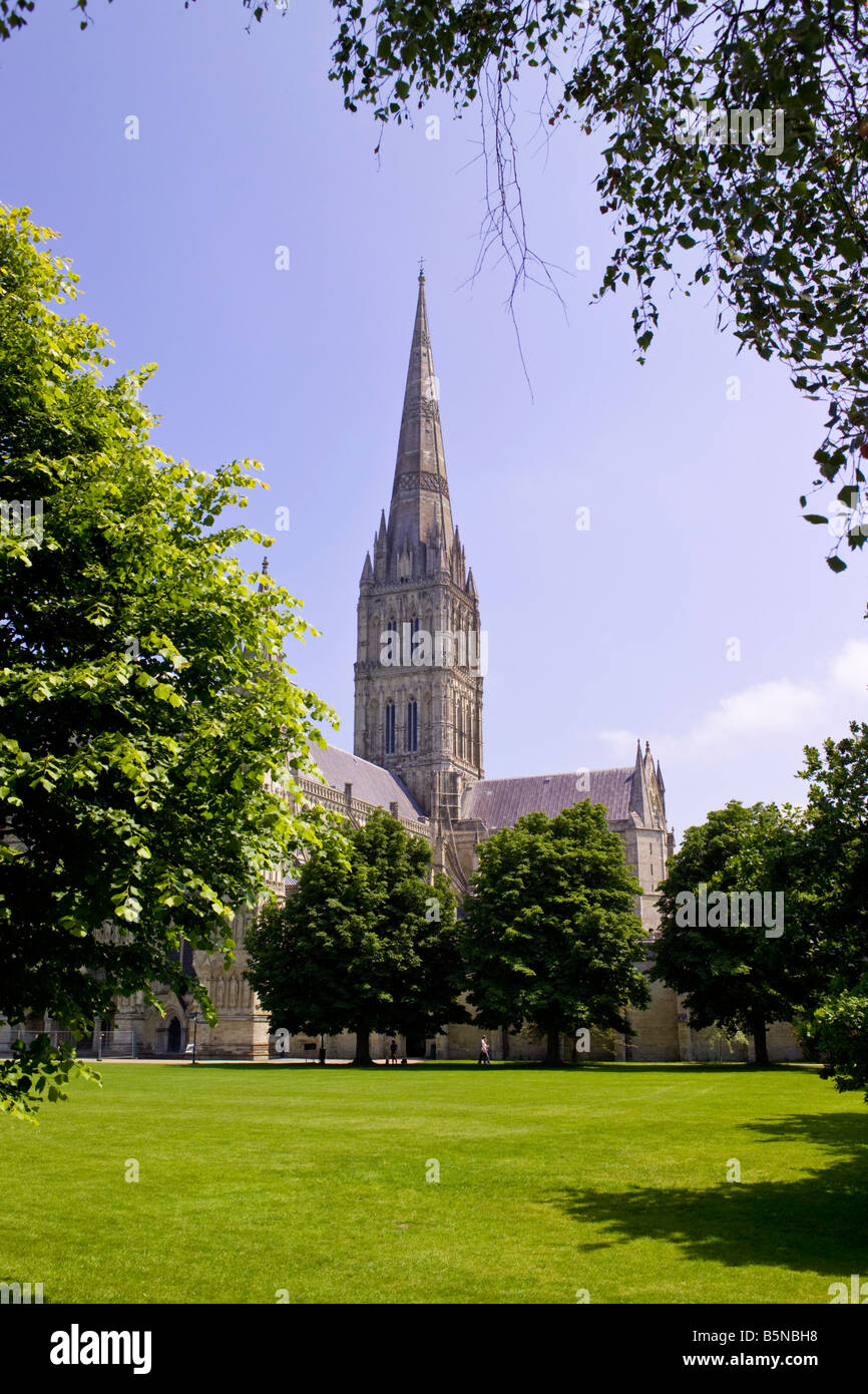 Salisbury Cathedral, Wiltshire Stock Photo - Alamy
