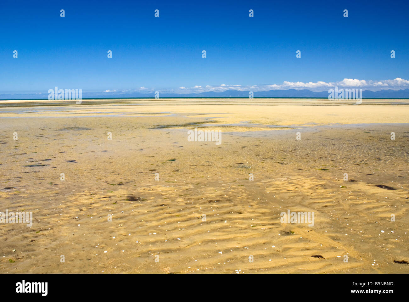 Marahau Beach, South Island, New Zealand Stock Photo - Alamy
