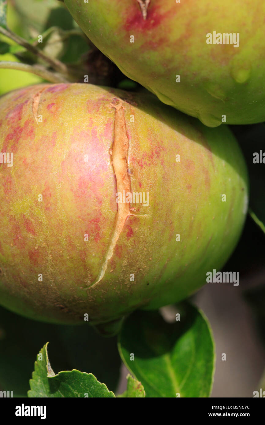 Dry spell weather hi-res stock photography and images - Alamy