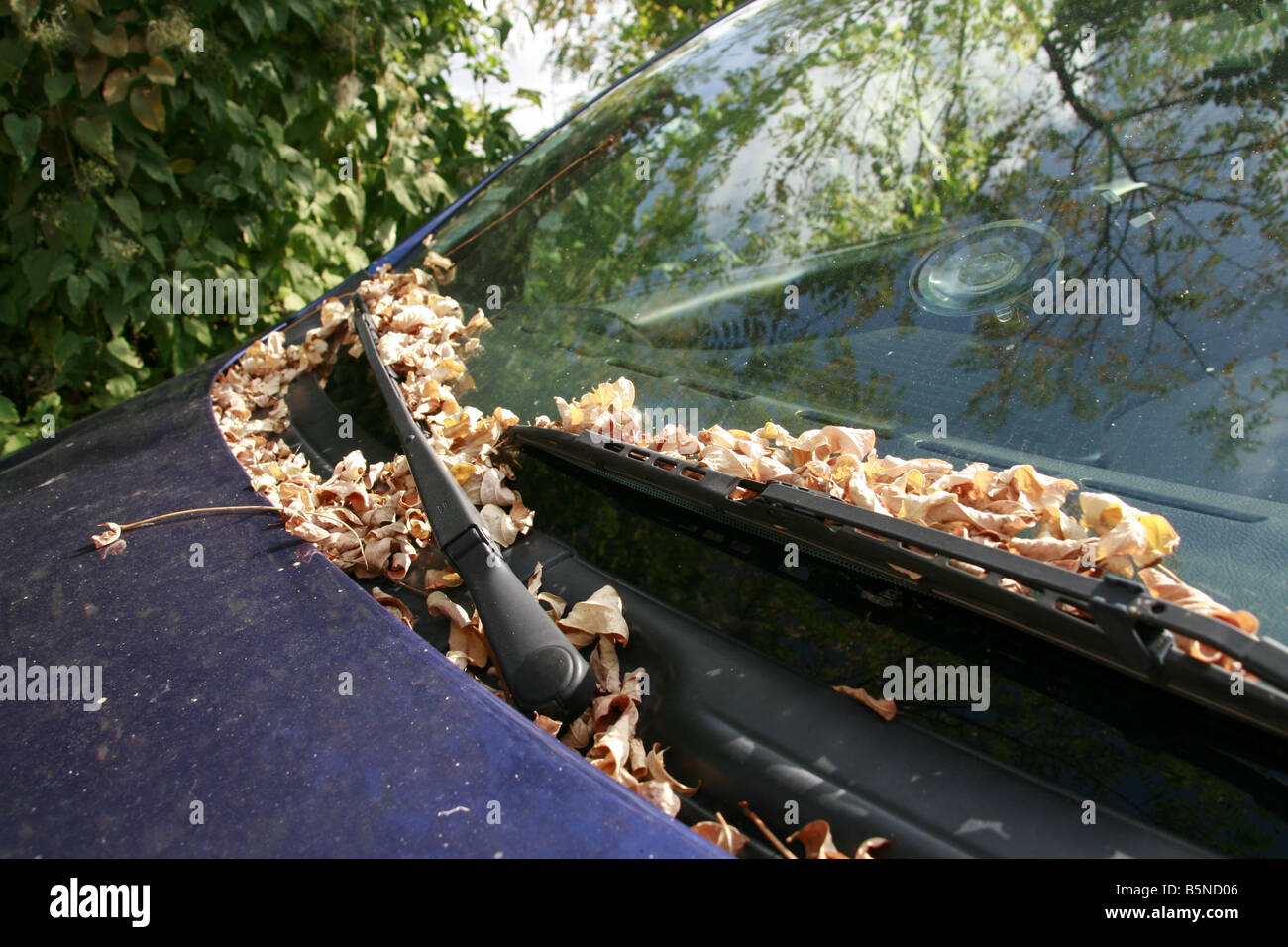 Car windscreen blocked hi-res stock photography and images - Alamy