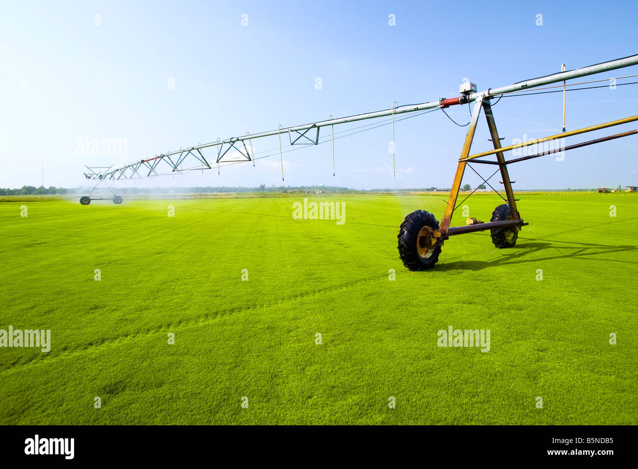 Turf Farm Number One Stock Photo - Alamy
