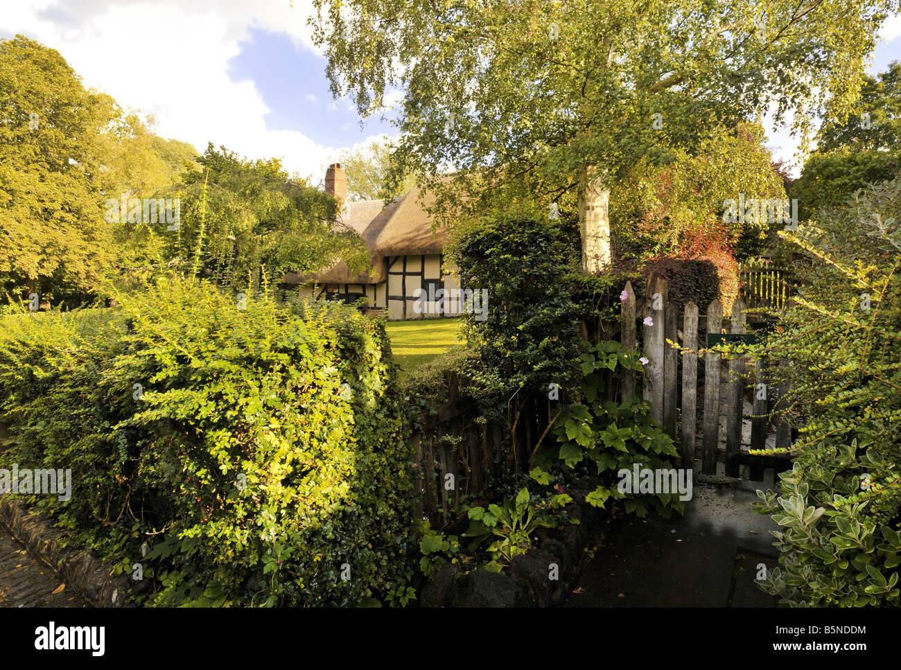 anne hathaways cottage home of william shakespeares wife shottery ...
