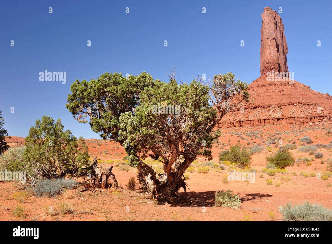 West Mitten Butte from along the Wildcat Trail in Monument Valley Stock ...