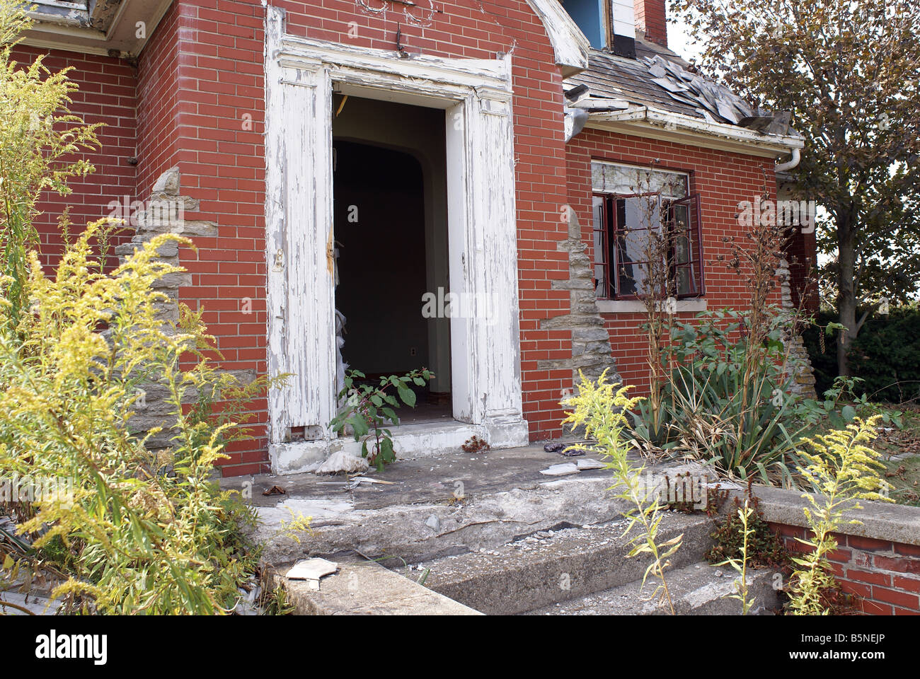 Abandoned vacant neglected unoccupied overgrown house home hi-res stock ...