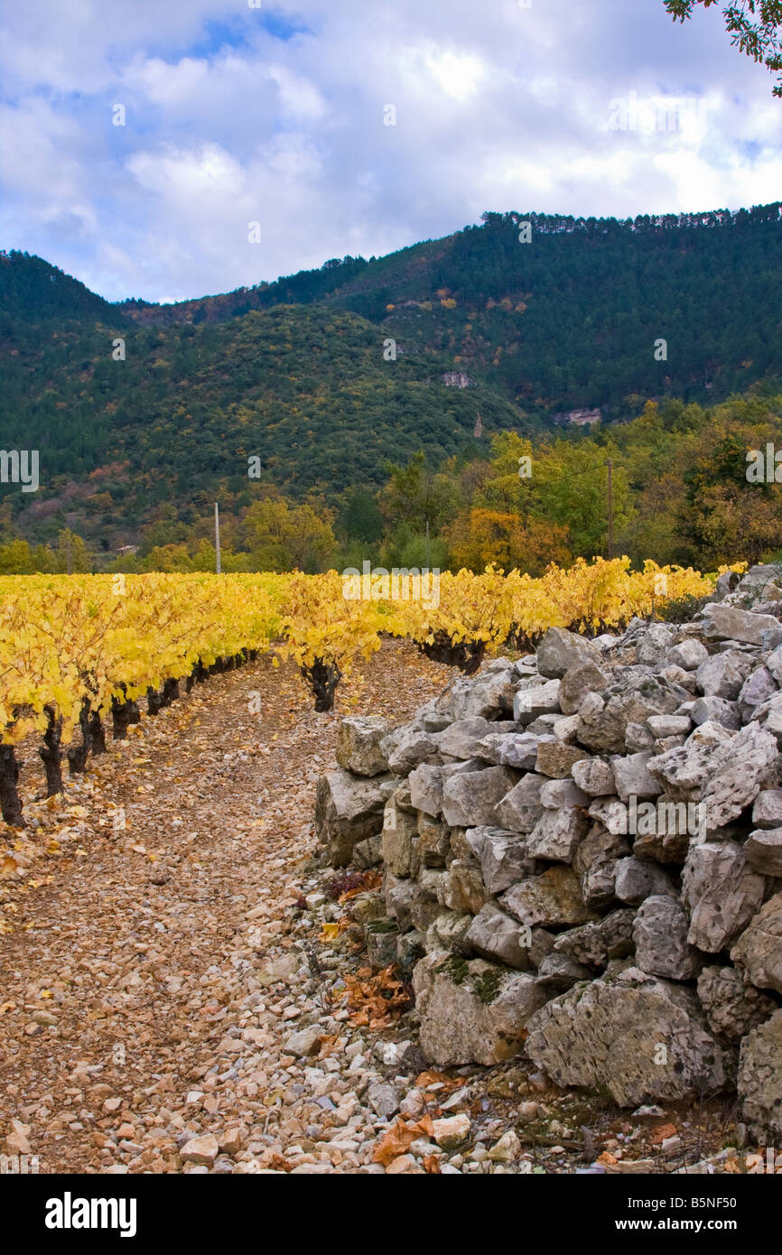 Rock wall by the vineyards Stock Photo - Alamy