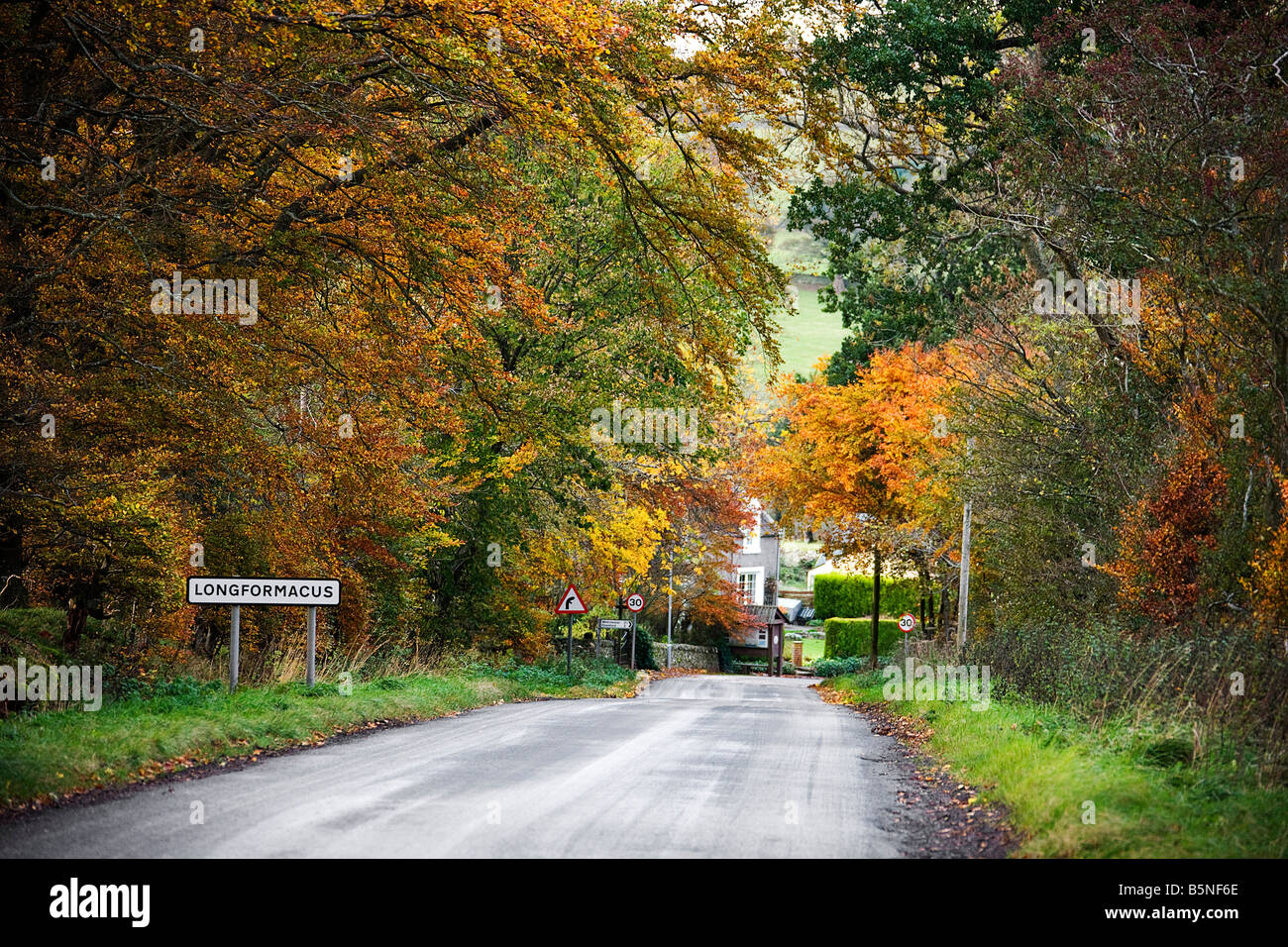 Lammermuir hills autumn colours natures colours trees scottish ...