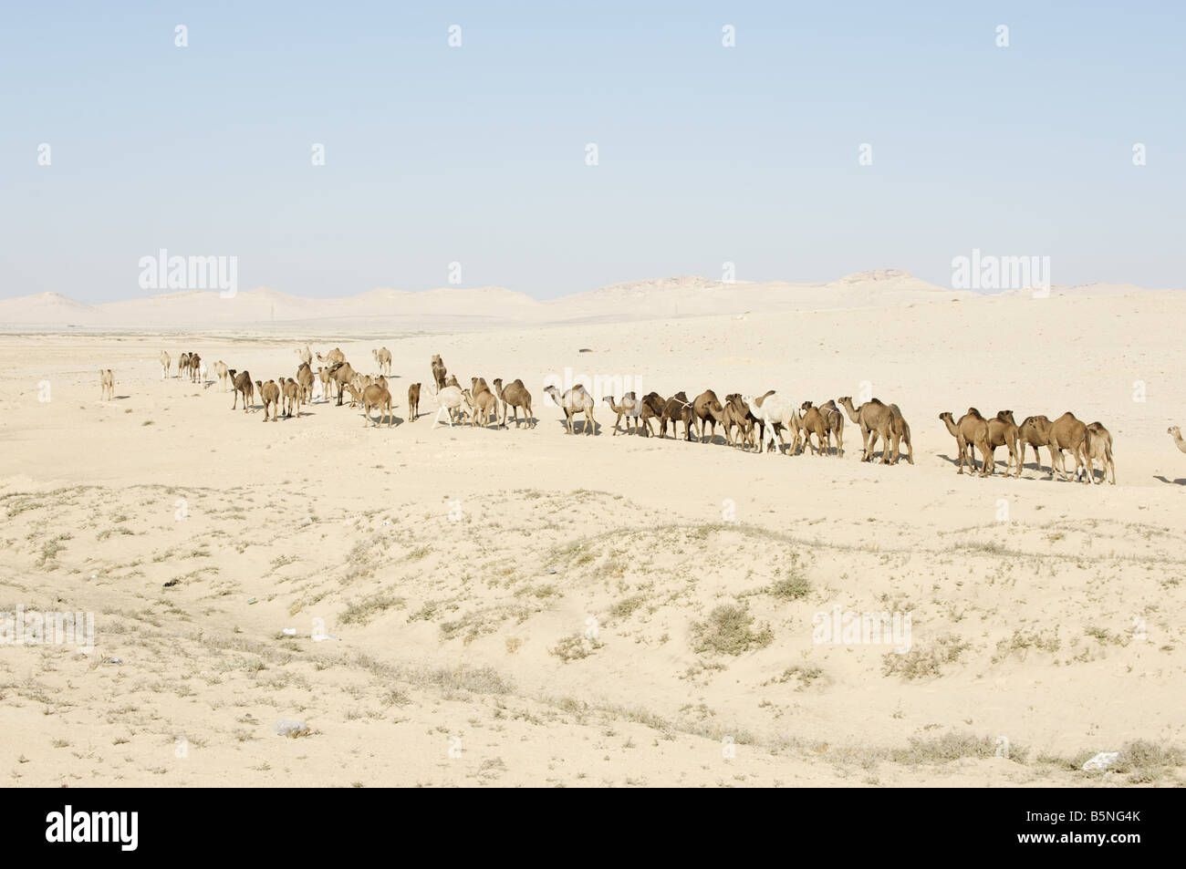 Syrian Desert High Resolution Stock Photography and Images - Alamy