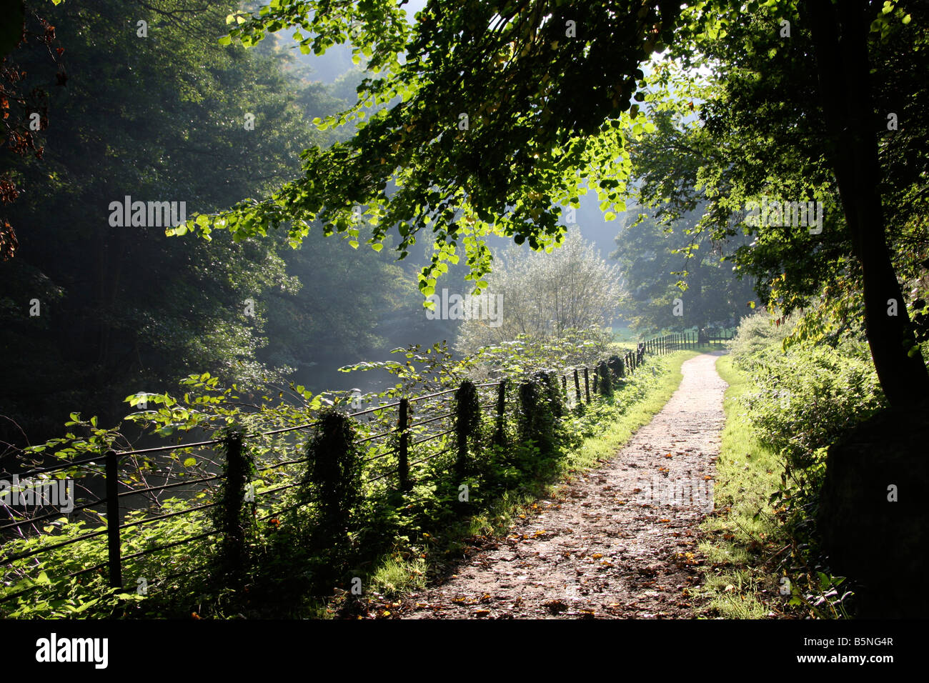 Riverside path, Ilam Country Park, Staffordshire, UK Stock Photo - Alamy