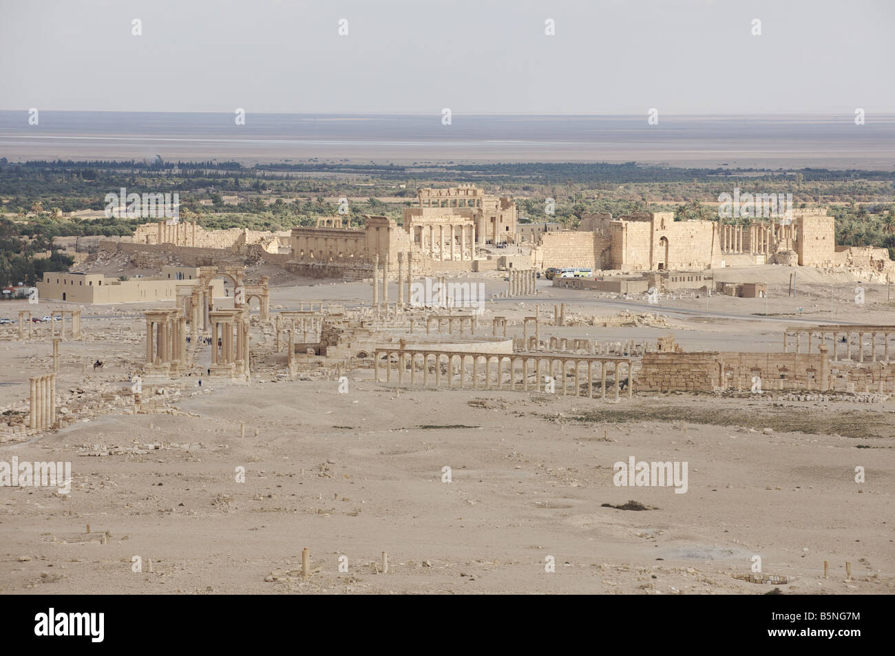 overview skyline of Palmyra and the Temple of Bel Stock Photo - Alamy