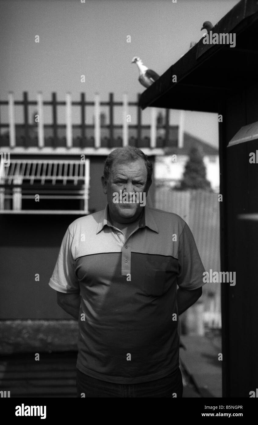 Pigeon racing in the UK. Working class sport Stock Photo - Alamy