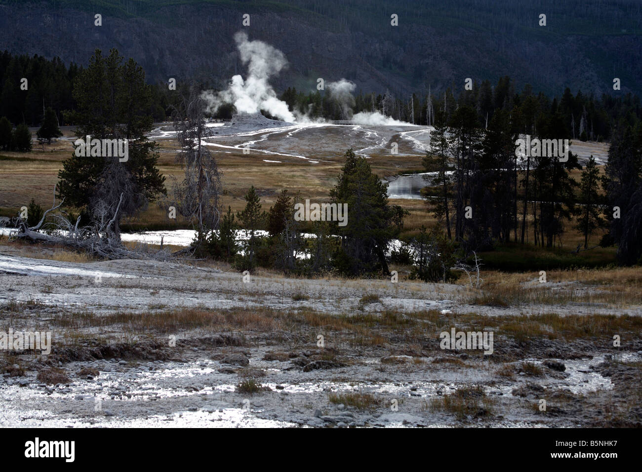 Yellowstone national park geyser view,USA Stock Photo - Alamy