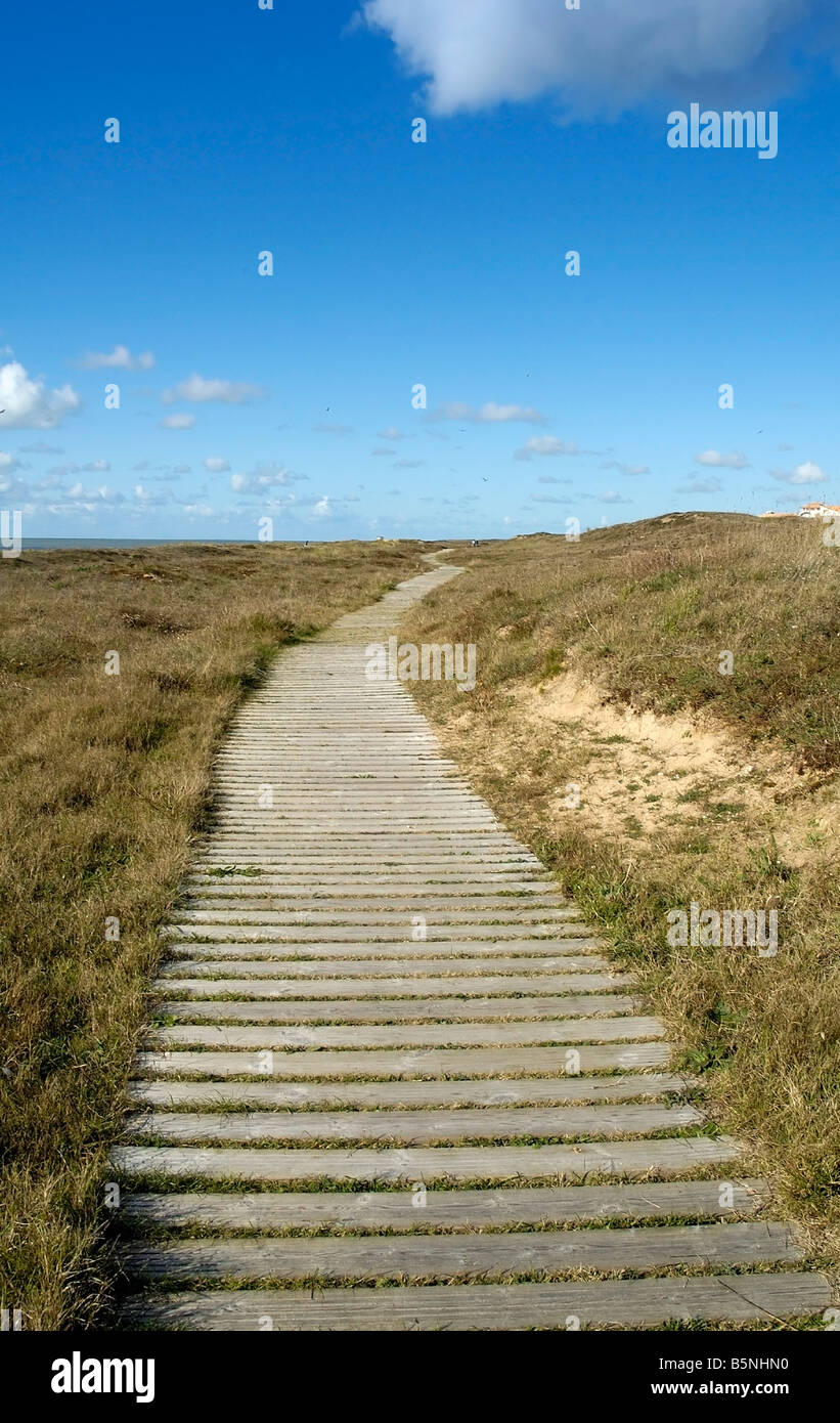 Winding Coastal Wooden Footpath Stock Photo - Alamy
