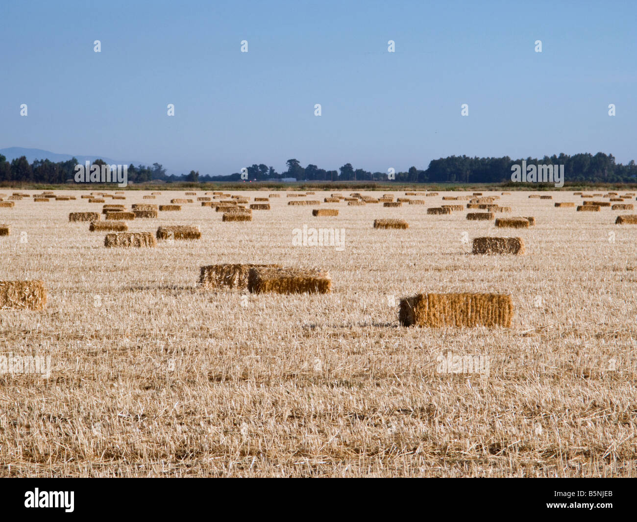 Hay field hi-res stock photography and images - Alamy