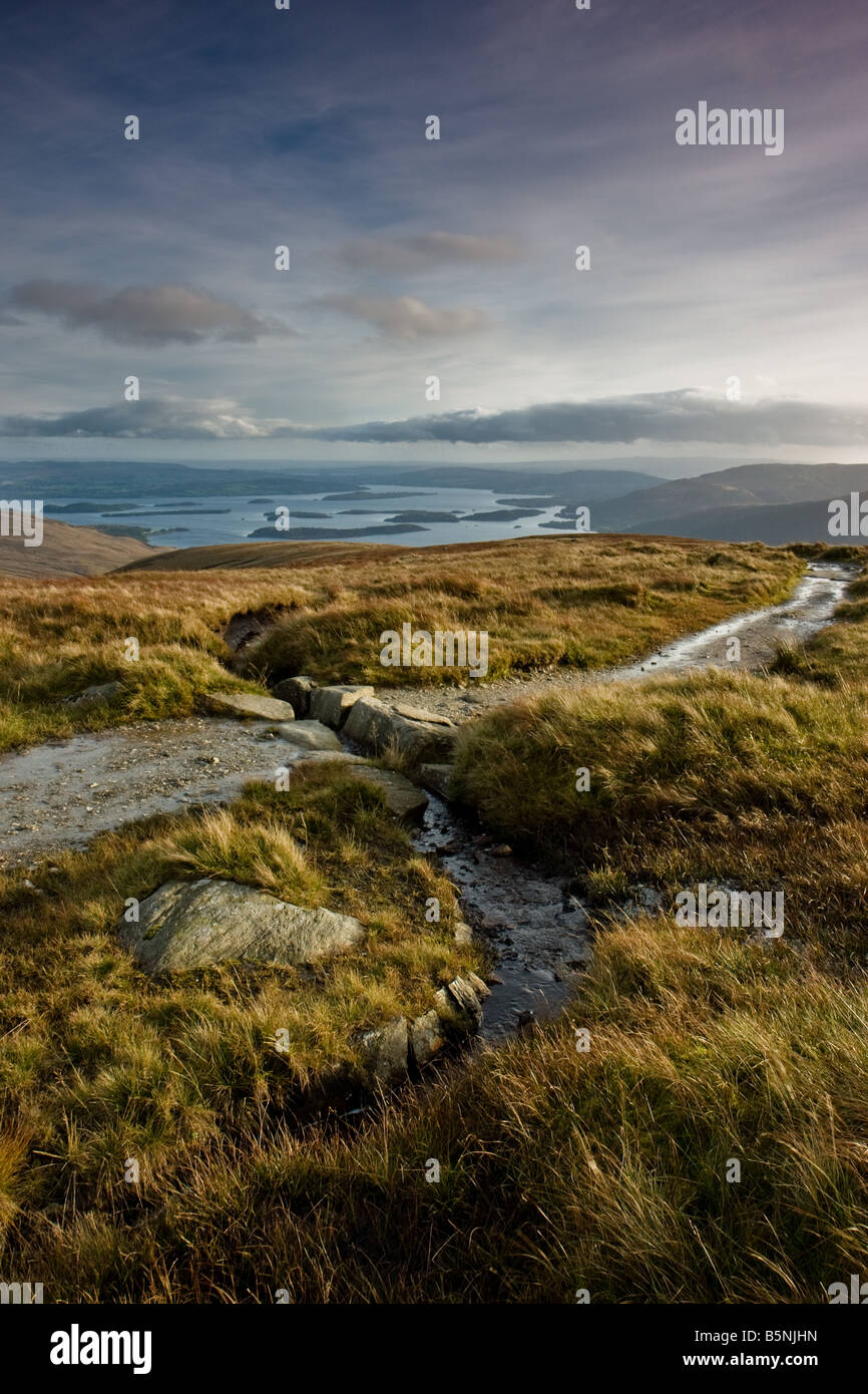 Intersection of path and stream Stock Photo - Alamy