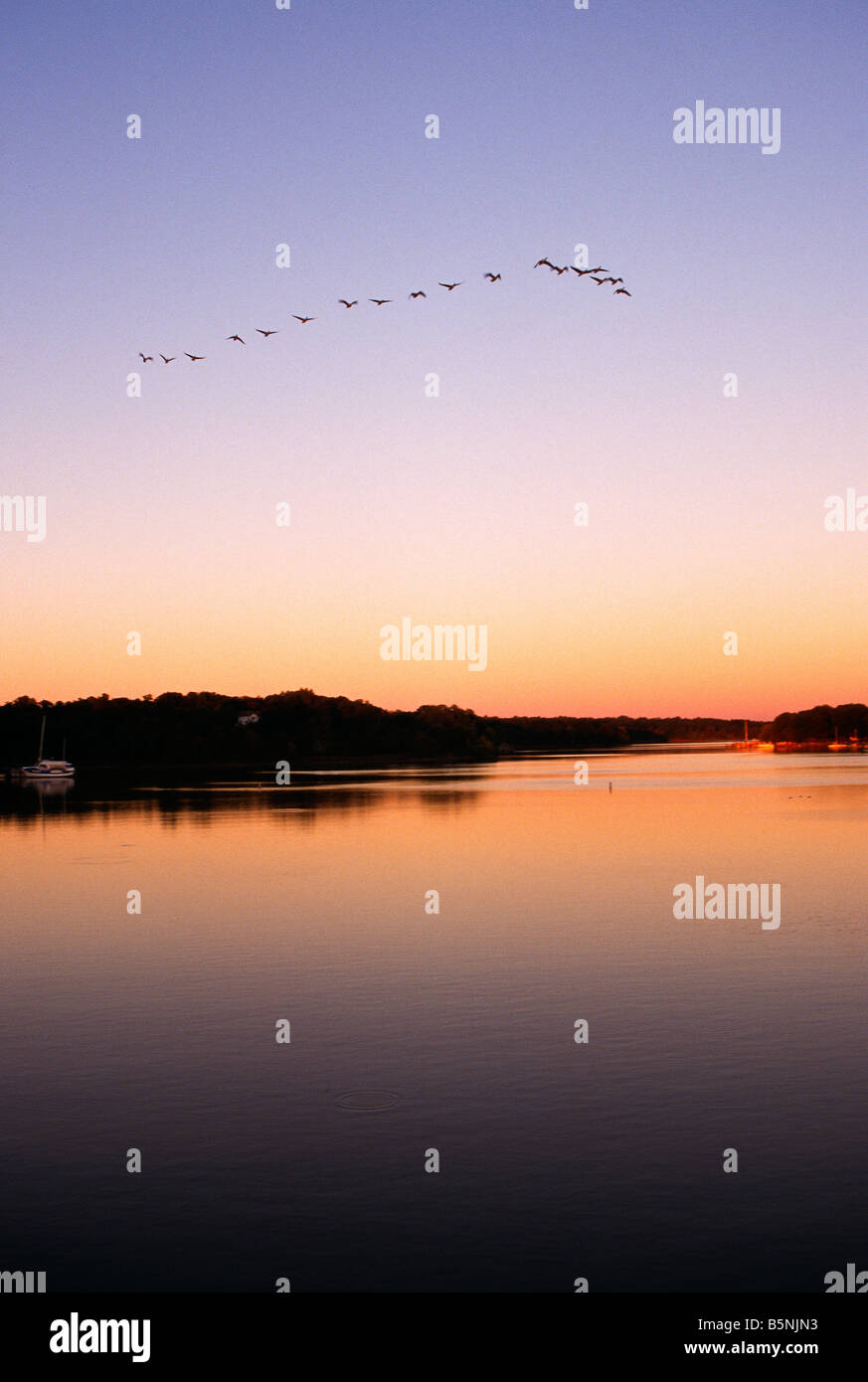 Sassafras river hi-res stock photography and images - Alamy