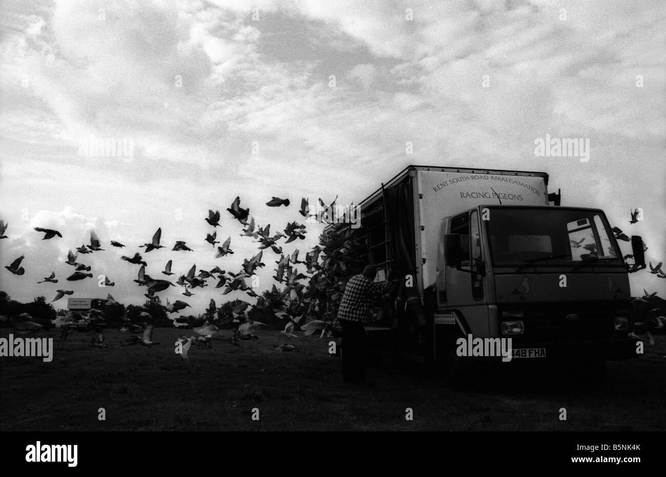 Pigeon racing in the UK. Working class sport Stock Photo - Alamy