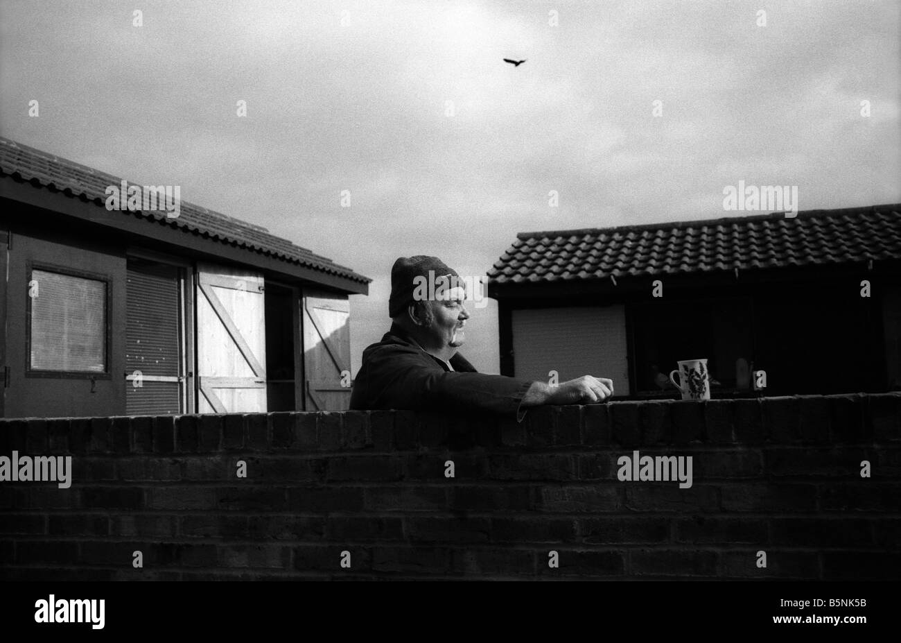 Pigeon racing in the UK. Working class sport Stock Photo - Alamy